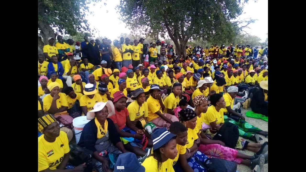 ZAPU now pulling huge crowds - YouTube