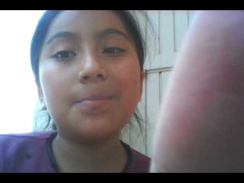 Los animales son grandiosos - YouTube