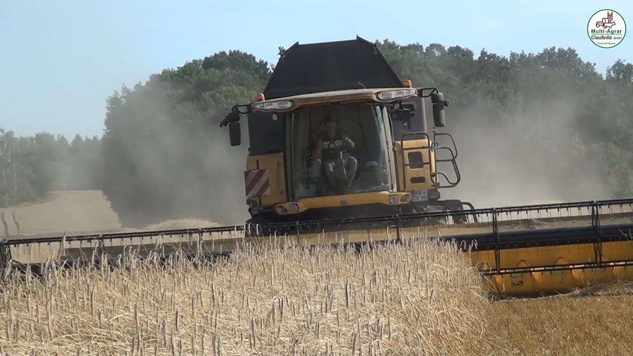 Roggen Ernte mit New Holland + John Deere und einem Reh, grain harvest ...