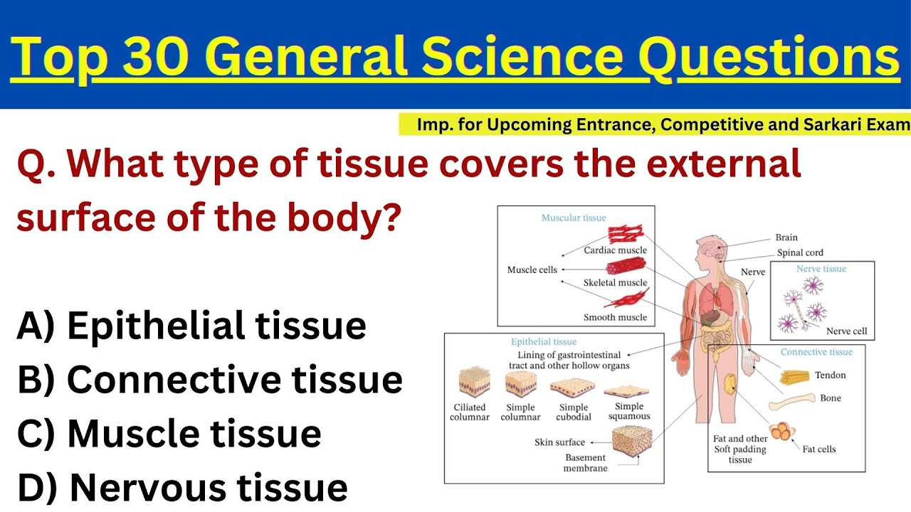 Science Quiz | 30 Most Important General Science Quiz | General Science ...