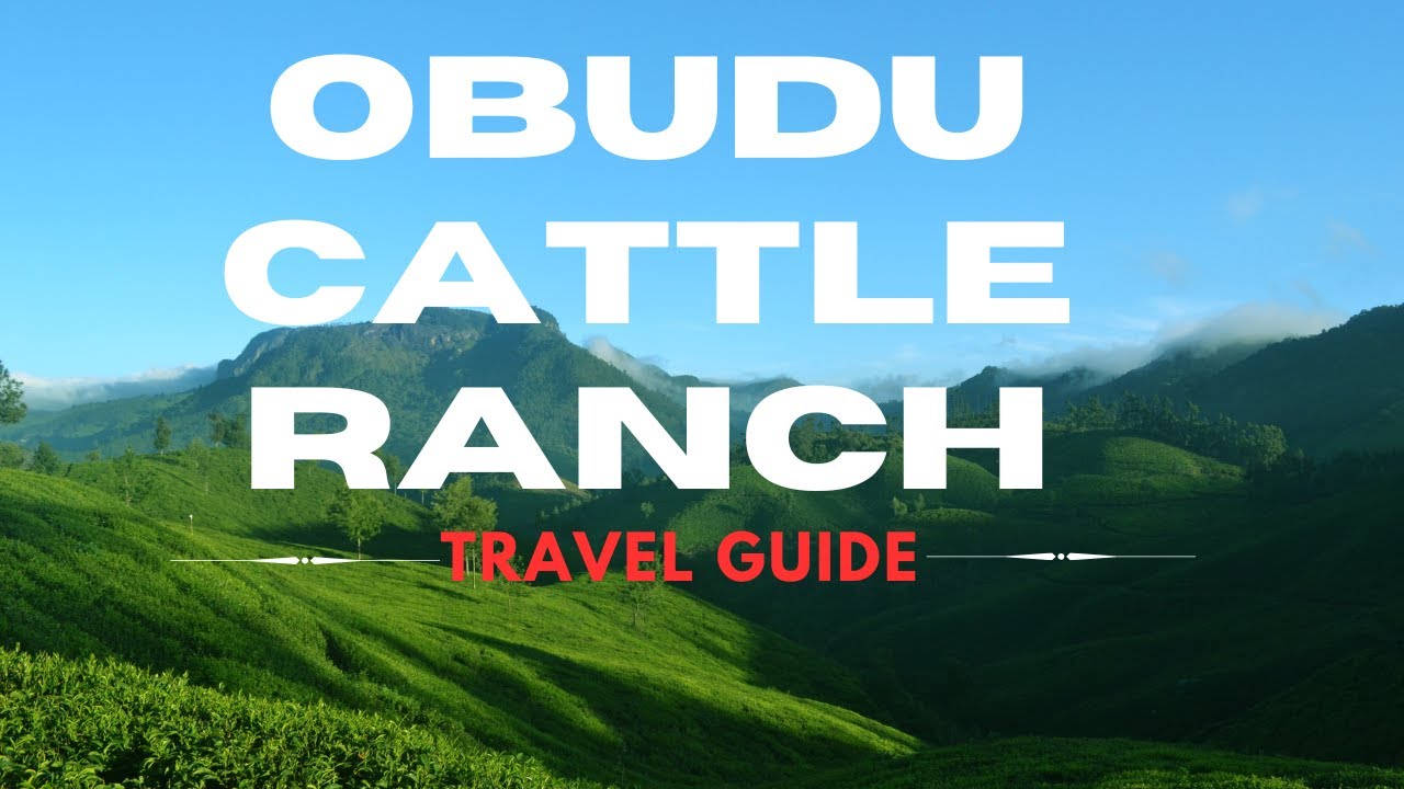 Exploring Obudu Cattle Ranch: A Hidden Paradise in Nigeria | Ultimate ...