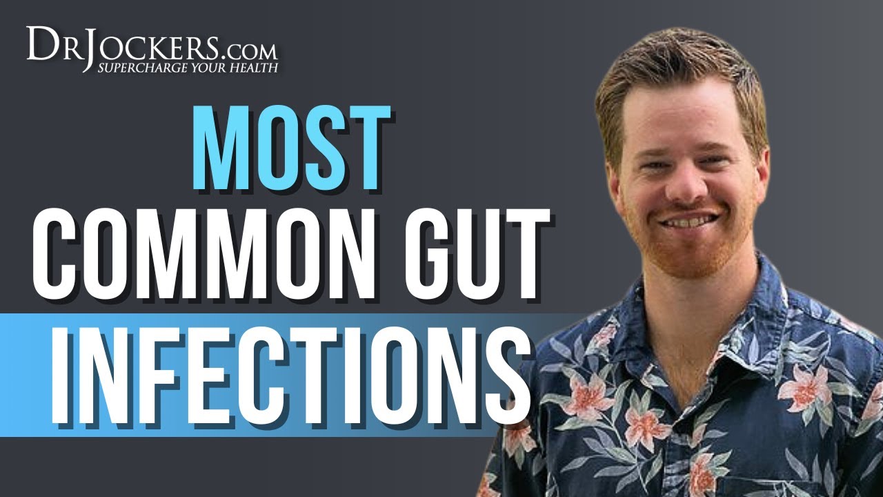 Most Common Gut Infections That Cause Serious Health Problems - YouTube