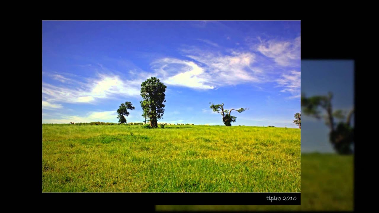 Canon EOS 450D Sample Shots