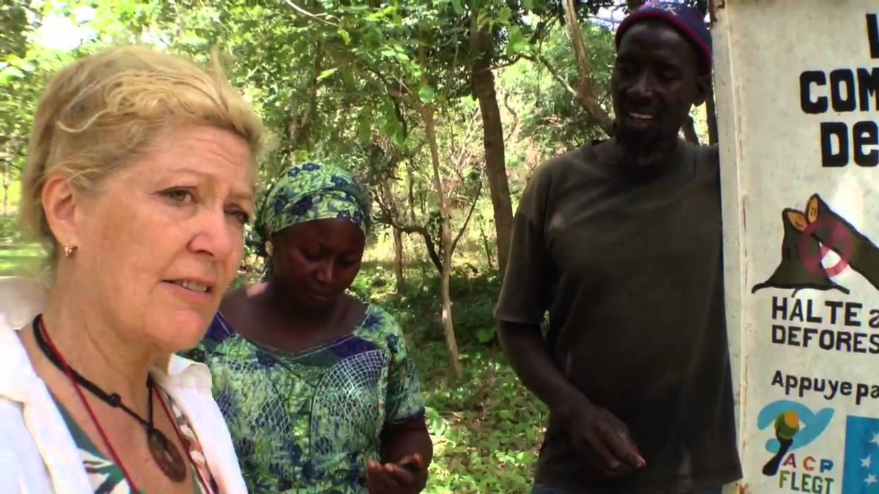 Koudioube Community Forestry - YouTube