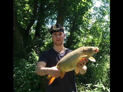 How To Catch Carp - Carp Fishing Made EASY - YouTube