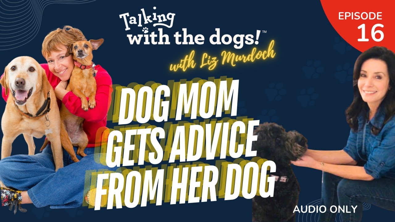 Liz Murdoch, Animal Intuitive - Dog Mom gets advise from her dog - EP ...