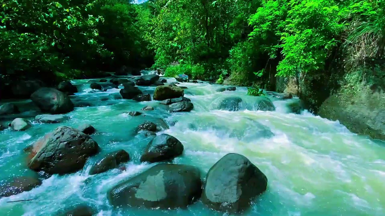 Ambient River Sounds Nature Ambience To Calm The Mind And Reduce ...