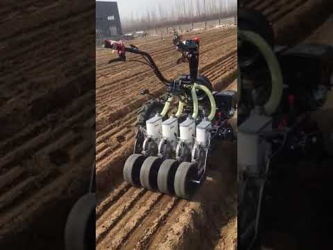 Radish Pneumatic seeder seeding machine for radish DEB Machinery - YouTube