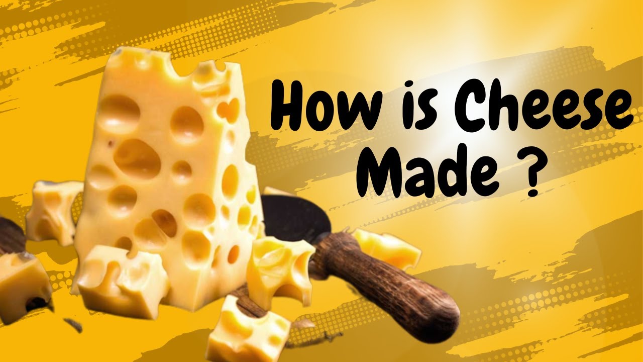 How is Cheese Made? - YouTube