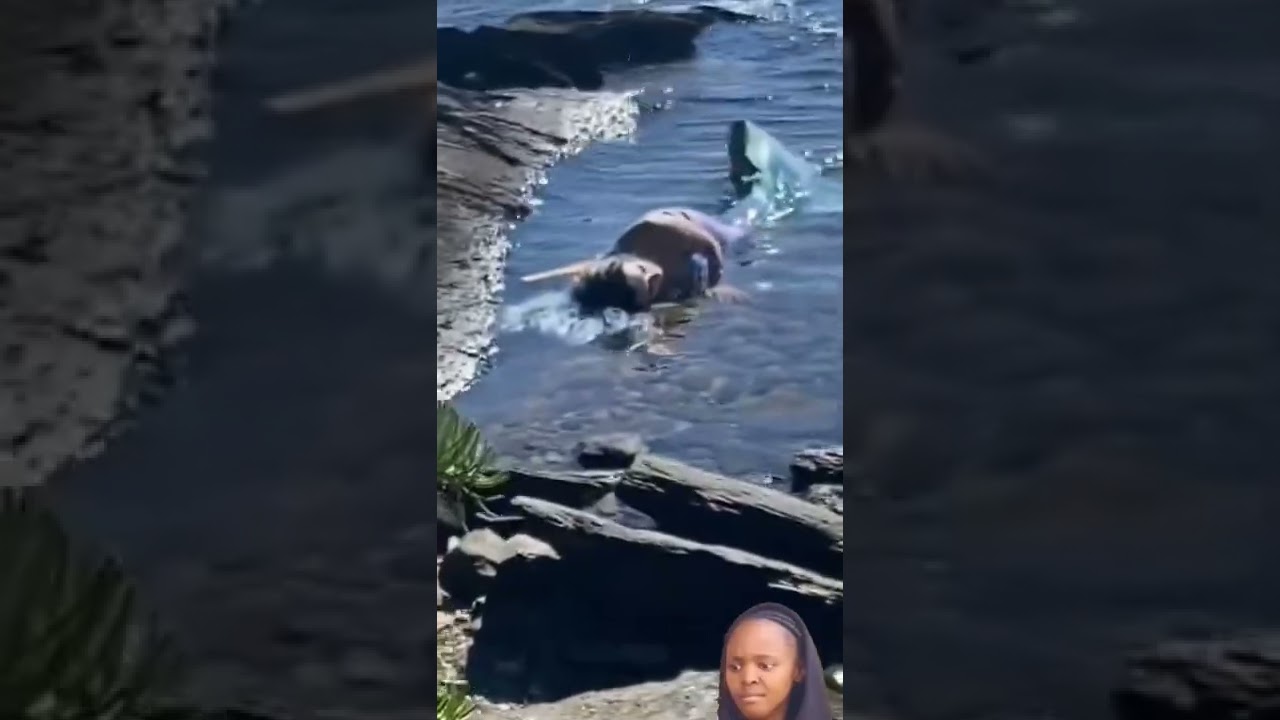 REAL MERMAID FOUND ON THE OCEAN 😥🙄, - YouTube