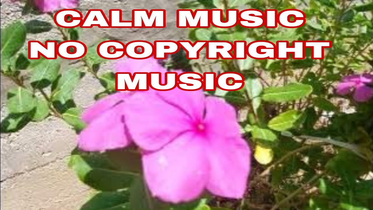 CALM MUSIC NON COPYRIGHT MUSIC #nocpoyright #noncpr #nocpyrightsounds ...