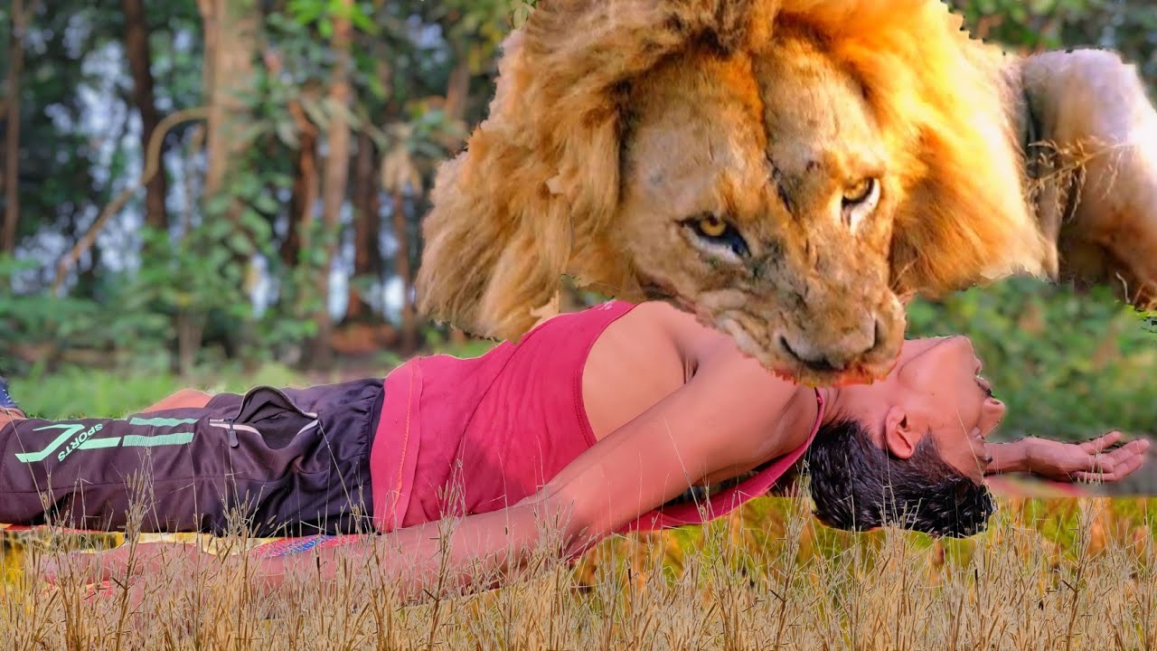 Lion Attack Man in Forest Lion Attack Hunter | Lion Attack Stories Part ...