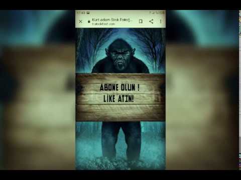 DOLUNAY ŞARKISI İLE KURT ADAM