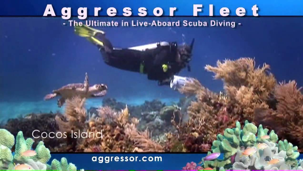 Aggressor Fleet - YouTube
