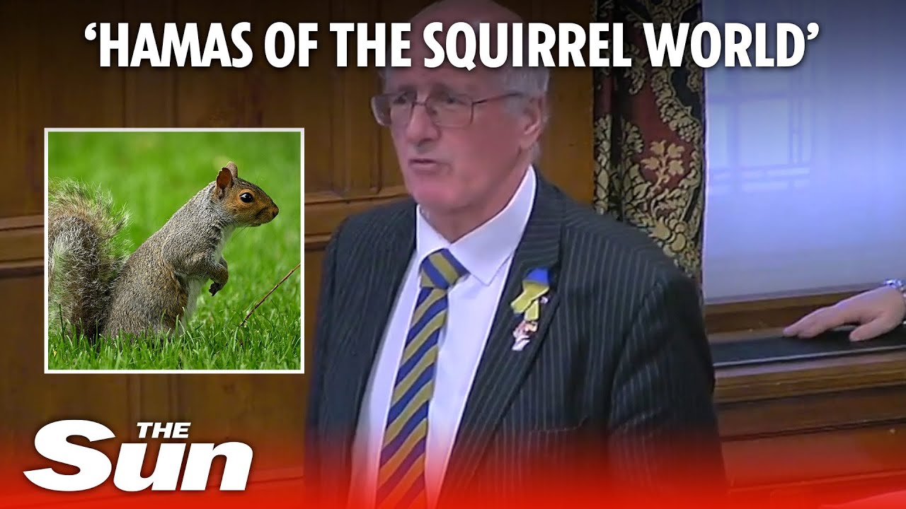 Lawmaker likens grey squirrels to Gaza terrorists: 'Hamas of the ...