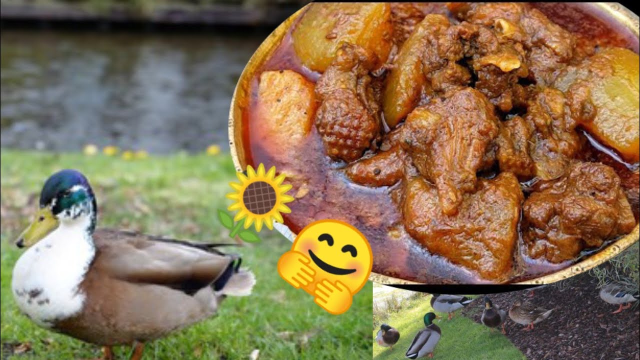 Duck Recipe Bengali Style | Duck Recipe | Hash ranna | Hash vuna recipe ...