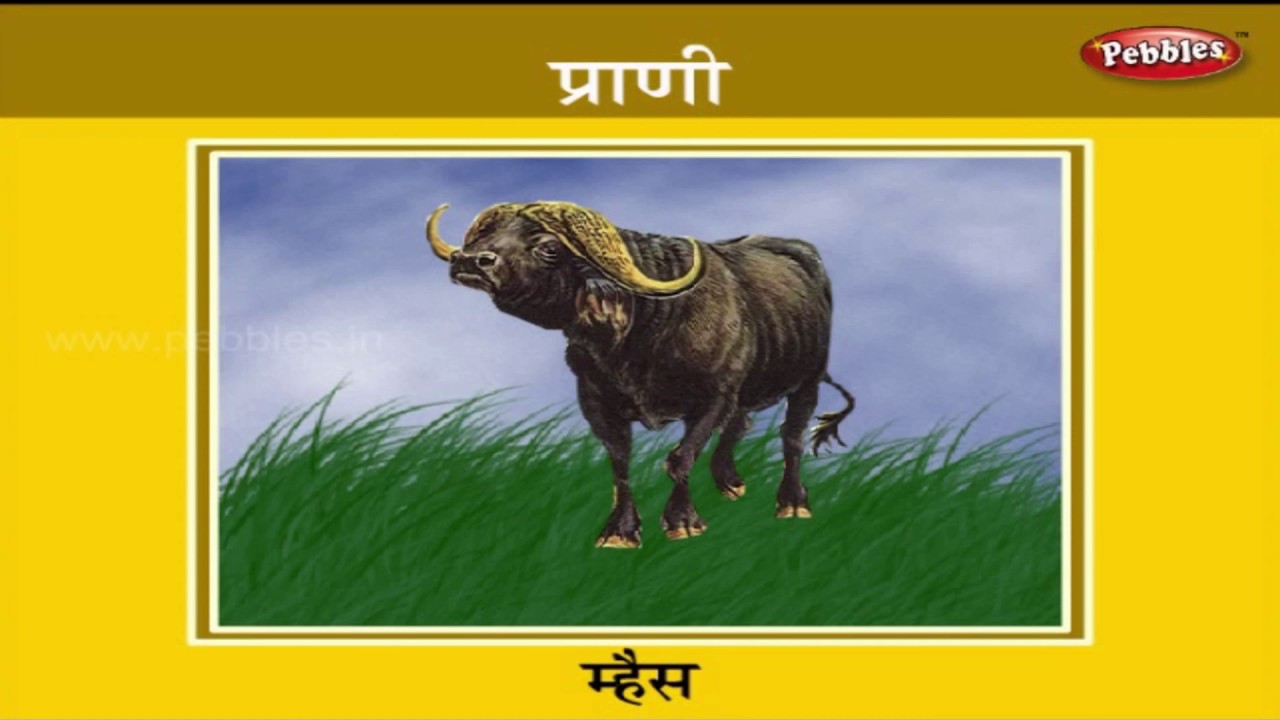 Preschool Learning Videos in marathi for kids | Best Learning ...