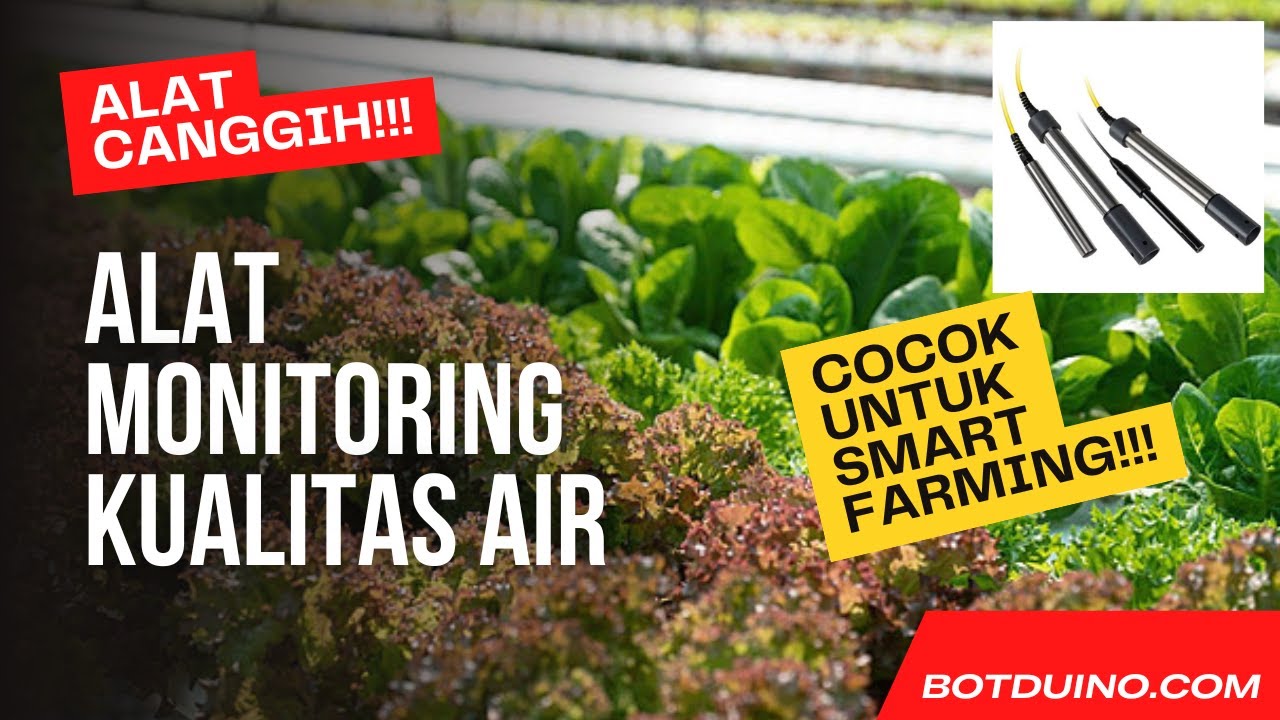 Alat IoT Monitoring Kualitas Air, Sensor Suhu, Sensor TDS, Sensor ...