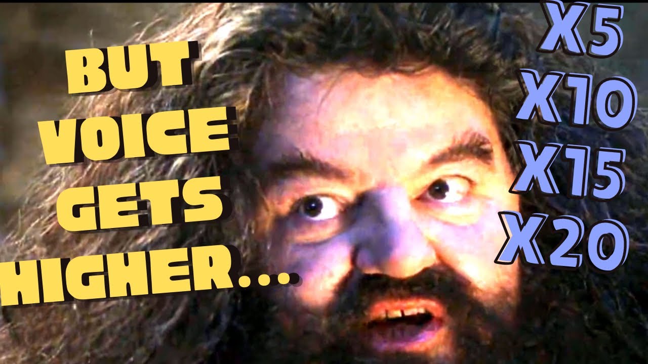 “You’re a wizard Harry“ but voice gets higher - Harry Potter ...