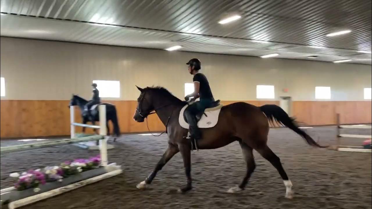 Ollie - 1st time schooling 2’9” to 3” - YouTube