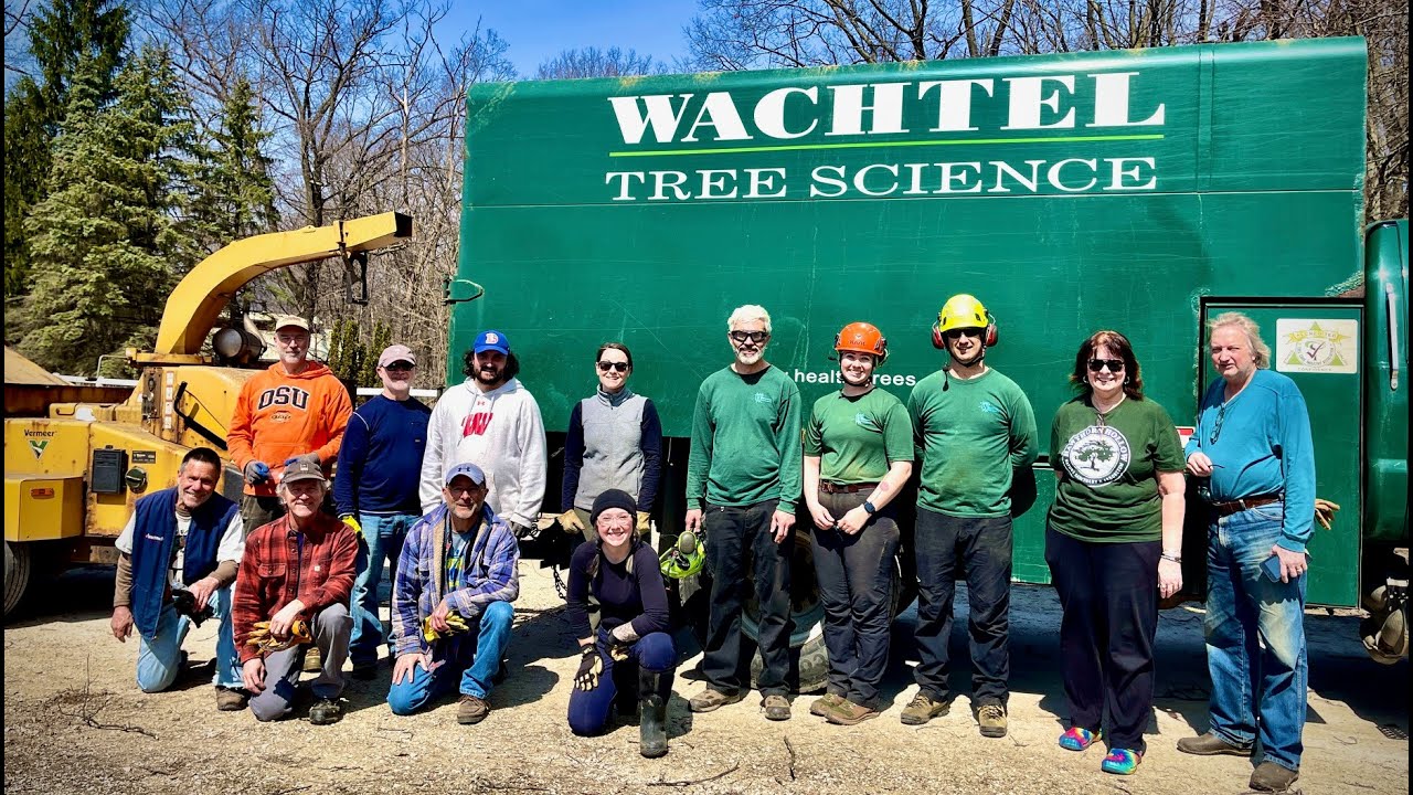 Spring Volunteering 2023 - YouTube