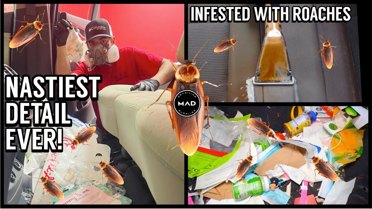 Super Cleaning The Nastiest ROACH Infested Repo SUV | Insane Satisfying ...
