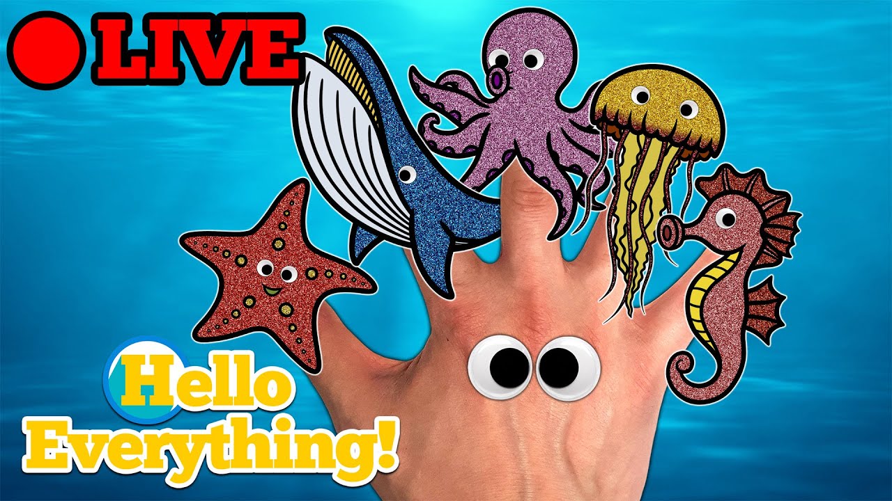 🔴 Hello Everything! 👀 Live Stream | Finger Family Nursery Rhymes ...