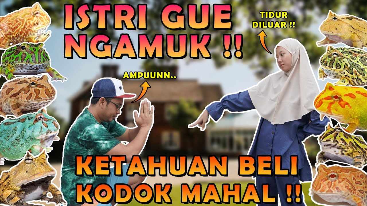 UNBOXING PACMAN FROG ! | CALON KODOK MONSTER ! - YouTube