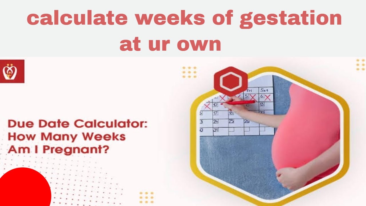 How To Calculate Week Of Gestation Pregnany K Haftay Calculate Krna How To Calculate Week Of Gestation Pregnany K Haftay Calculate Krna