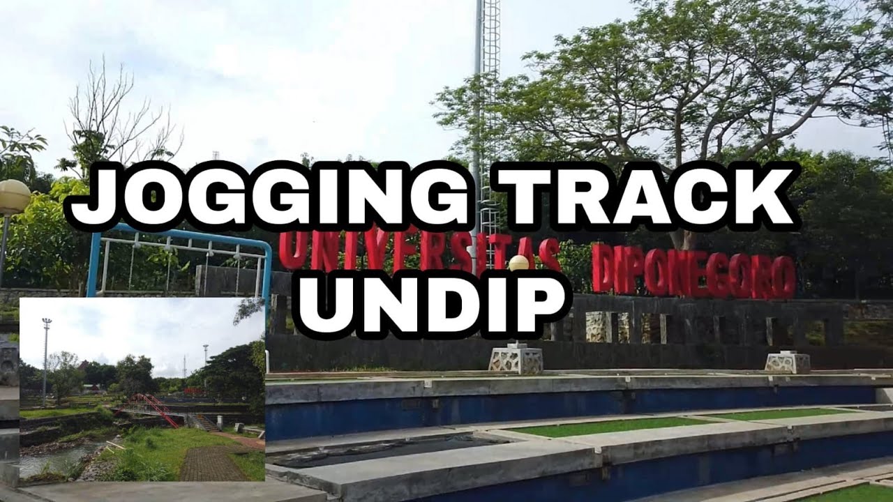 JALAN JALAN DI JOGGING TRACK UNIVERSITAS DIPONEGORO (UNDIP) SEMARANG ...