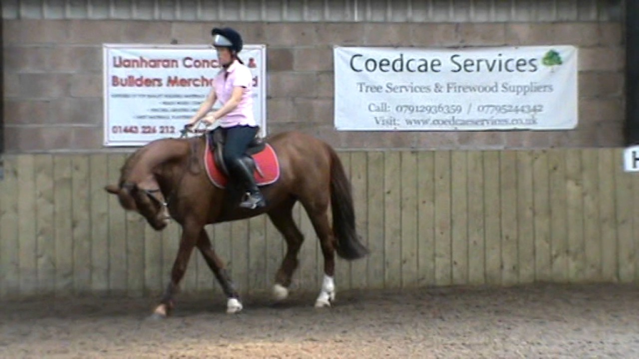 Cwm Ciddy Red Lesson Pencoed A S Harris 20417 - YouTube