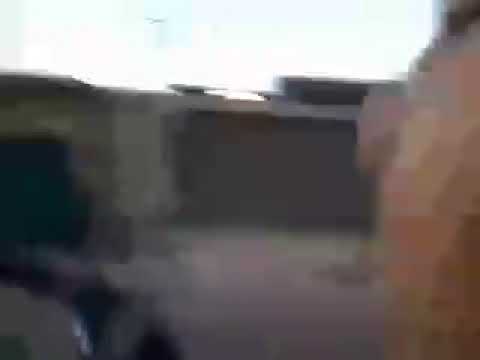 desafios / (4 ) abrasei a menina gordinha