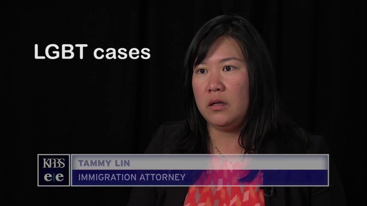 Asylum 101: Different Pathways Asylum-Seekers, Refugees Take To Reach ...