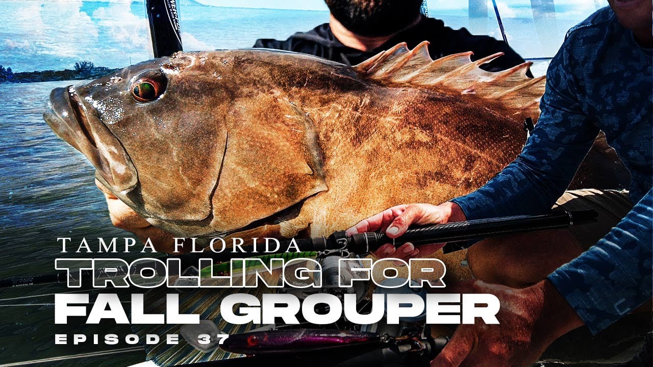 Trolling for Grouper in Tampa Bay: Deep Dive Plugs, Catching Fall ...