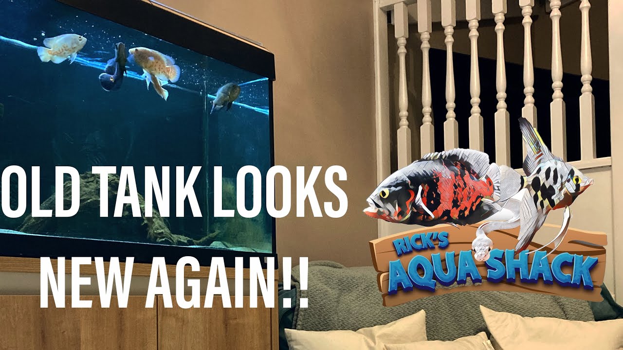 Making An Old Tank Look New!! - YouTube