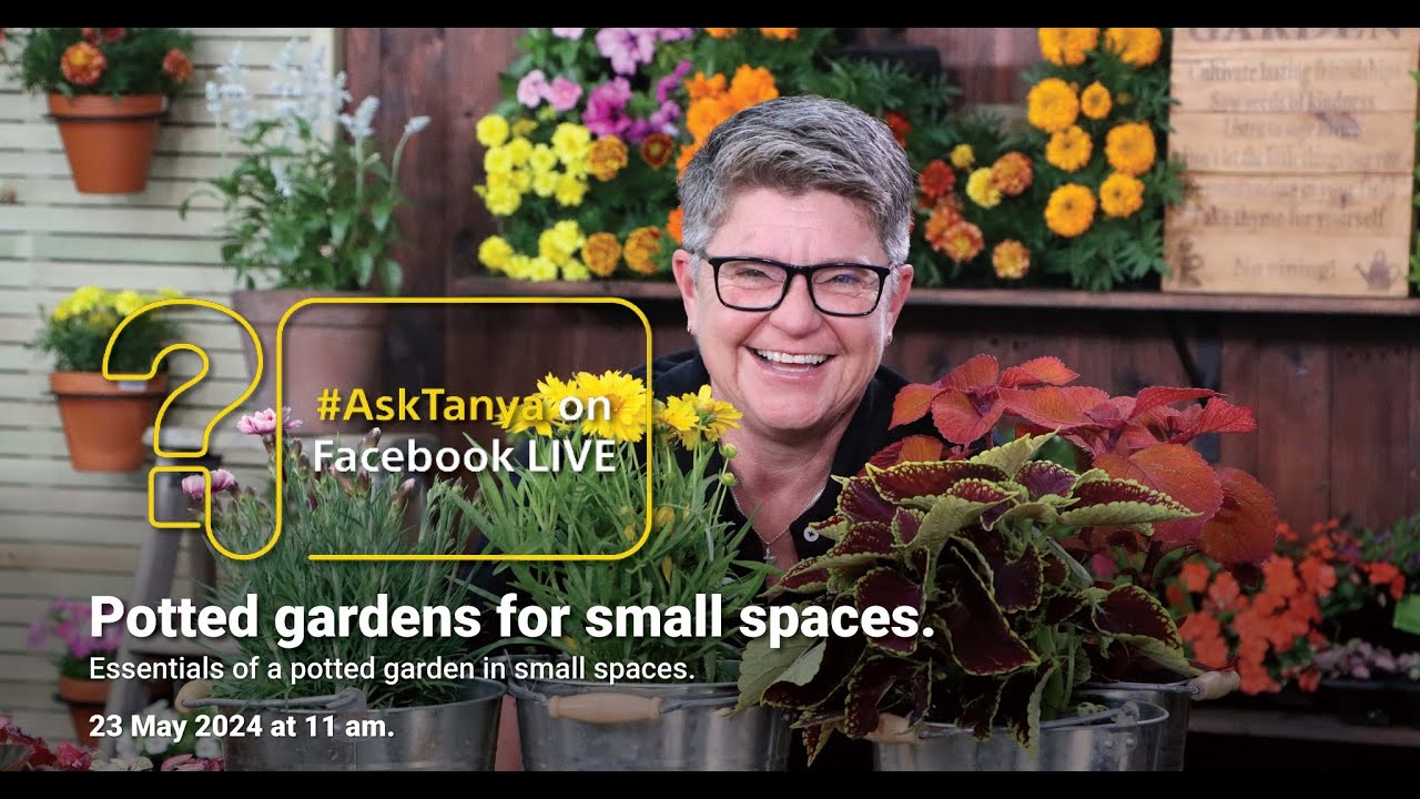 Garden Masterclass LIVE with Tanya Visser - YouTube