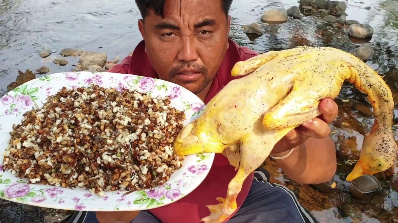 Yummy cooking duck with red ant - eating delicious - YouTube