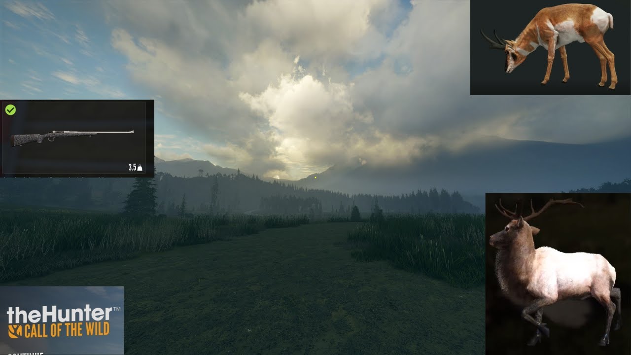 Testing the Olsson Model 23 .308 - Hunter Call of the WIld - YouTube