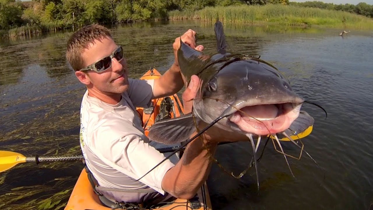 Catfish On A Bitsy Bug Jig 9-6-2013 - YouTube