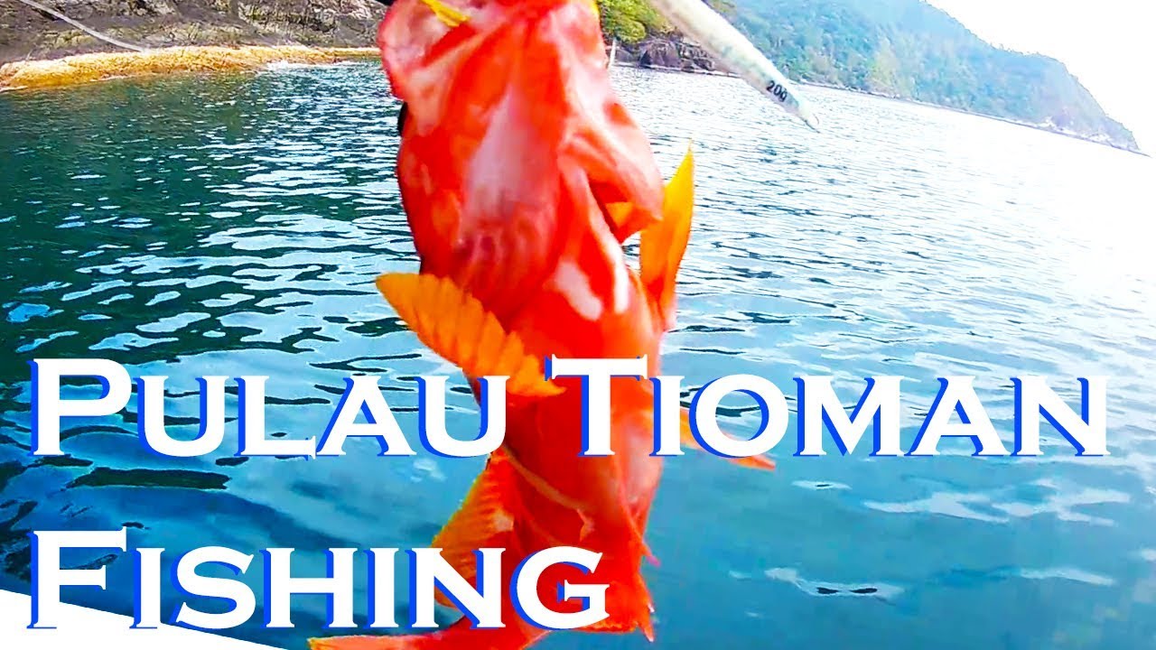 Pulau Tioman Fishing 2 - Jigging Casting Mersing - Shimano Calcutta ...