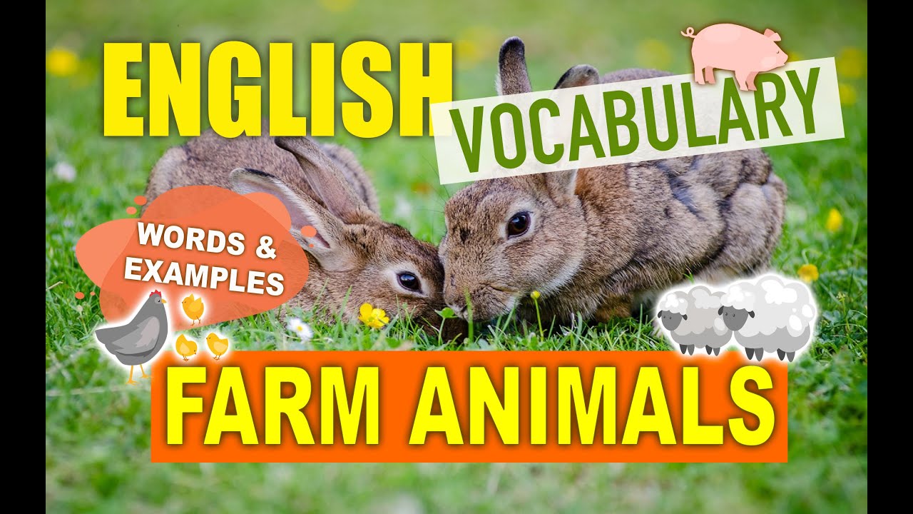 Farm Animals vocabulary with examples of usage. Beginner level # ...