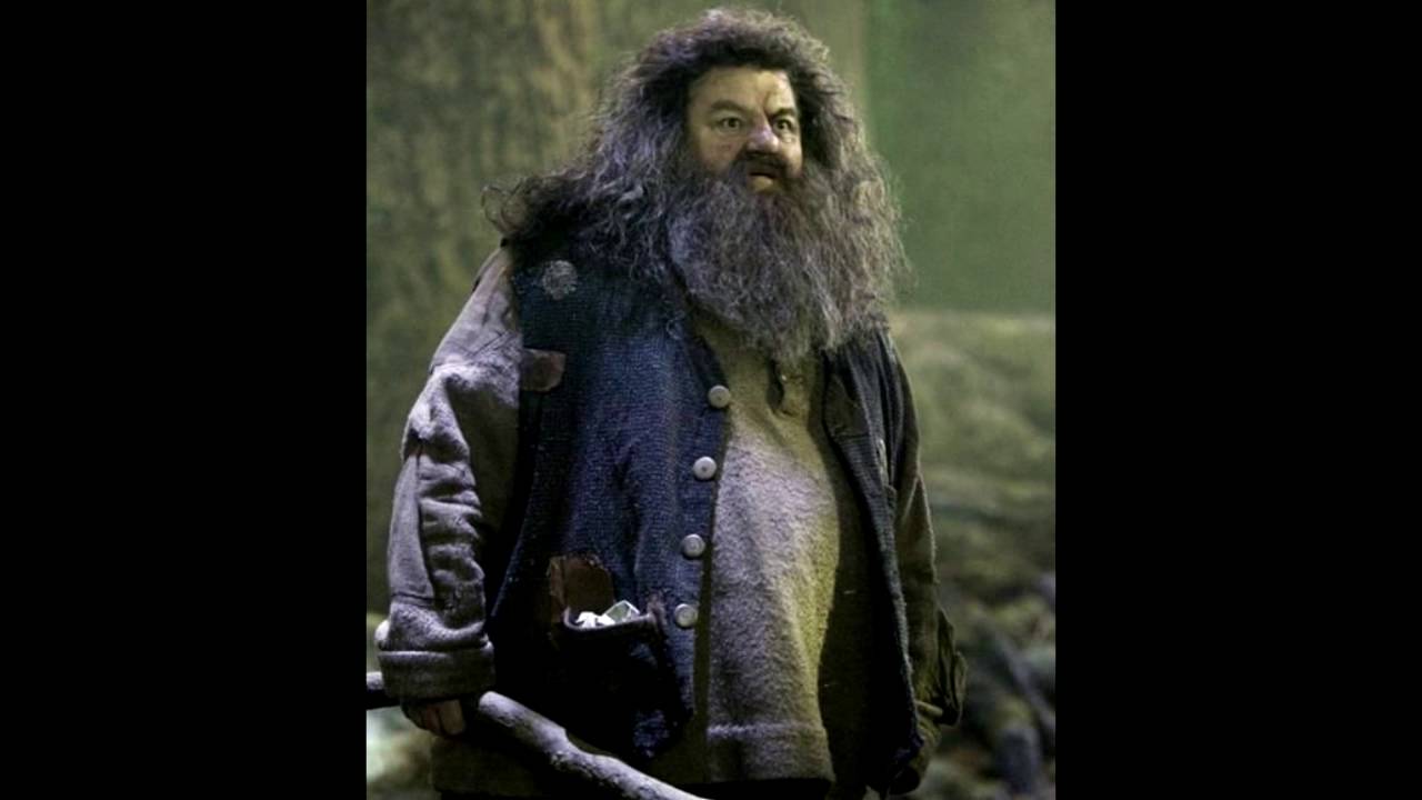Harry Potter and the Prisoner of Azkaban video game - Rubeus Hagrid ...