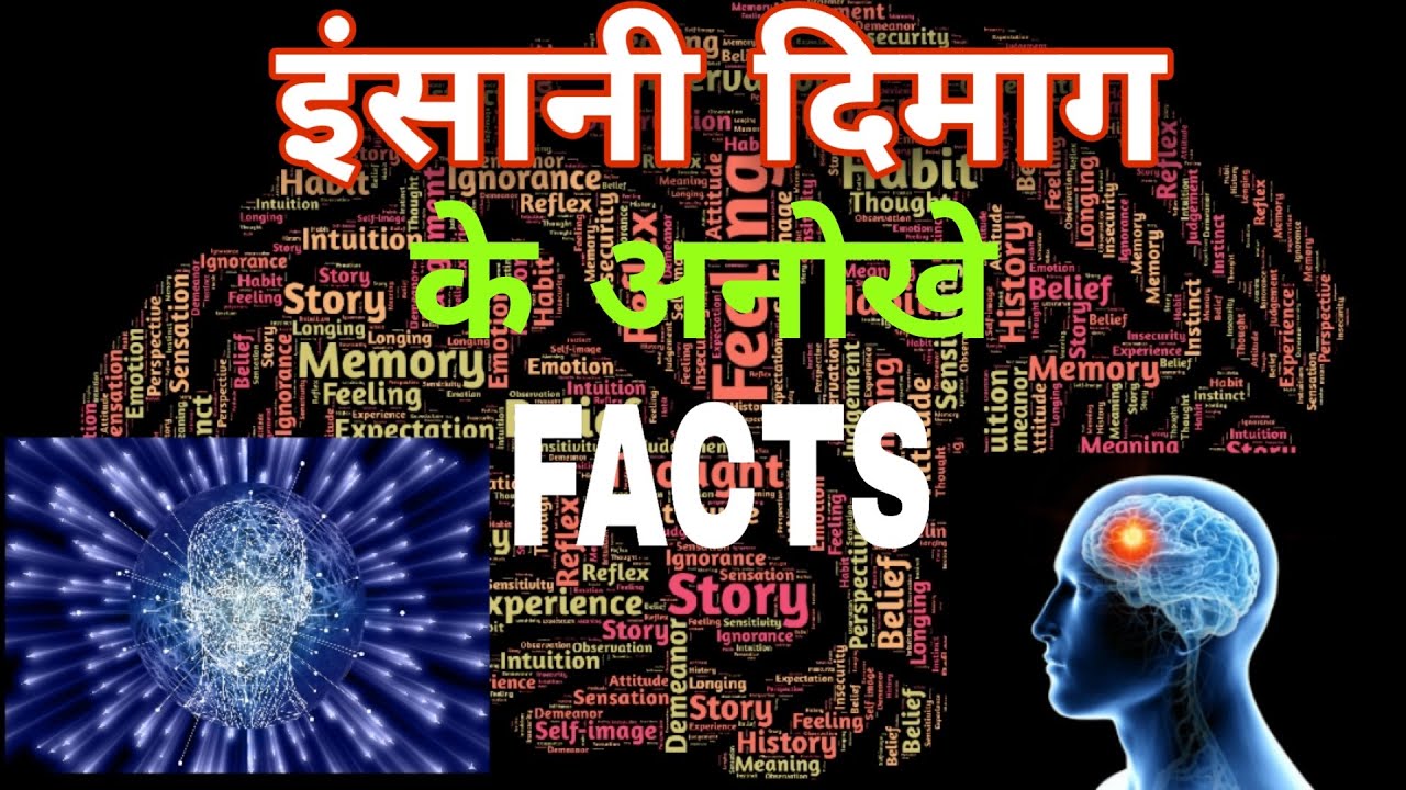 15 Facts About Human Brain In Hindi YouTube 15-facts-about-human-brain-in-hindi-youtube