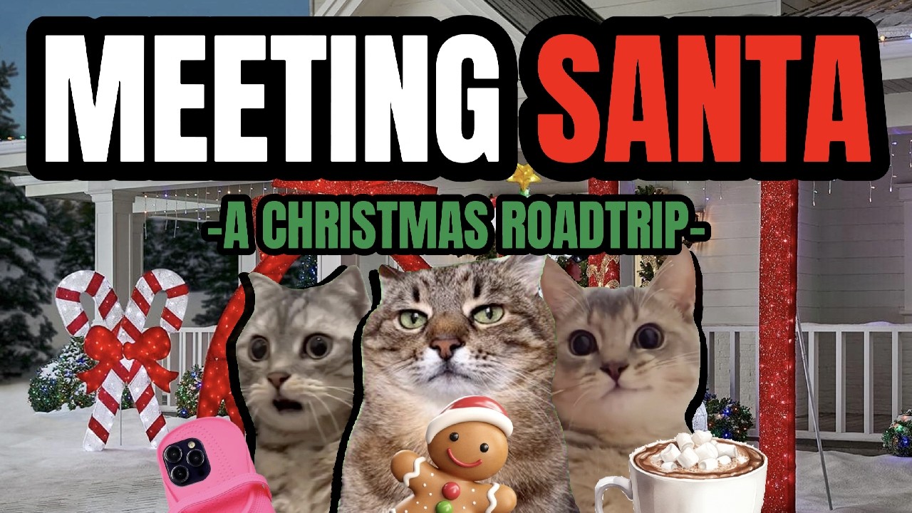 Cat MEMES: MEETING SANTA - YouTube