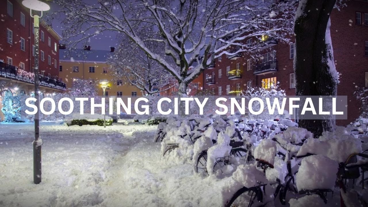 Winter Snow storm sounds, winter Blizzard, winter snowstorm sounds ...