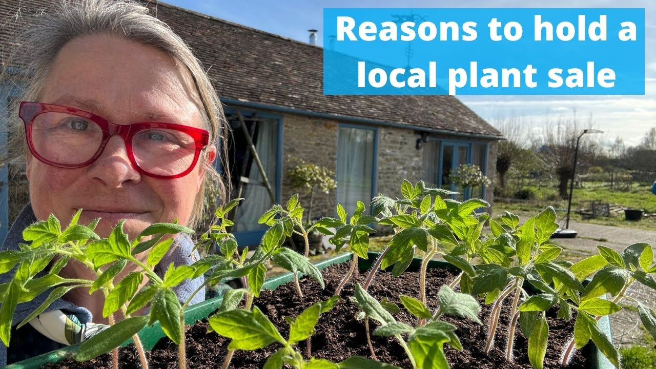 Club version Common Good Plant Sale update - YouTube