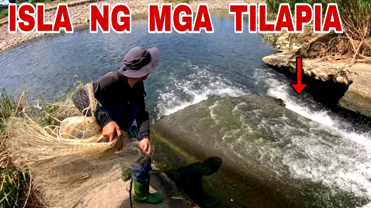 Buwis Buhay Na Pangingisda Sa isla Ng Mga Tilapia - YouTube