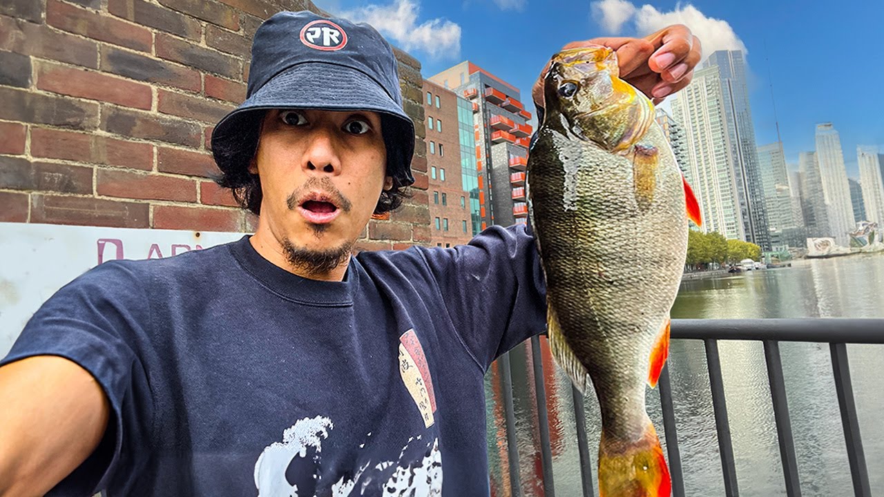 Perch Fishing in London - YouTube