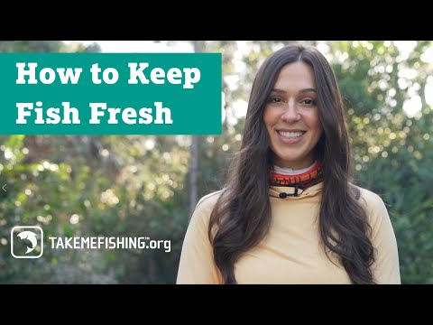 How to Keep Fish Fresh - YouTube