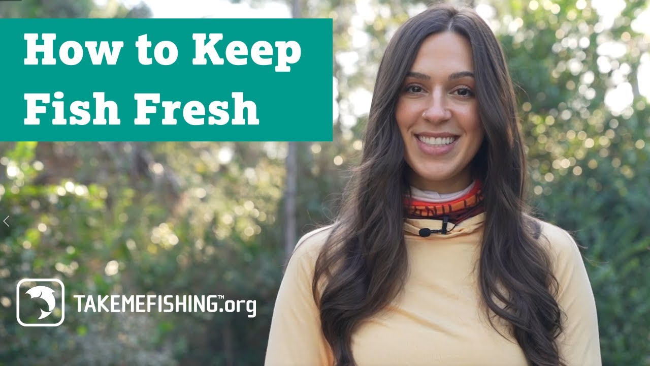 How to Keep Fish Fresh - YouTube